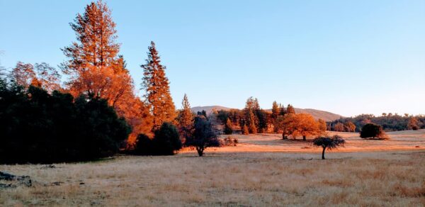 Fall Colors in Julian CA